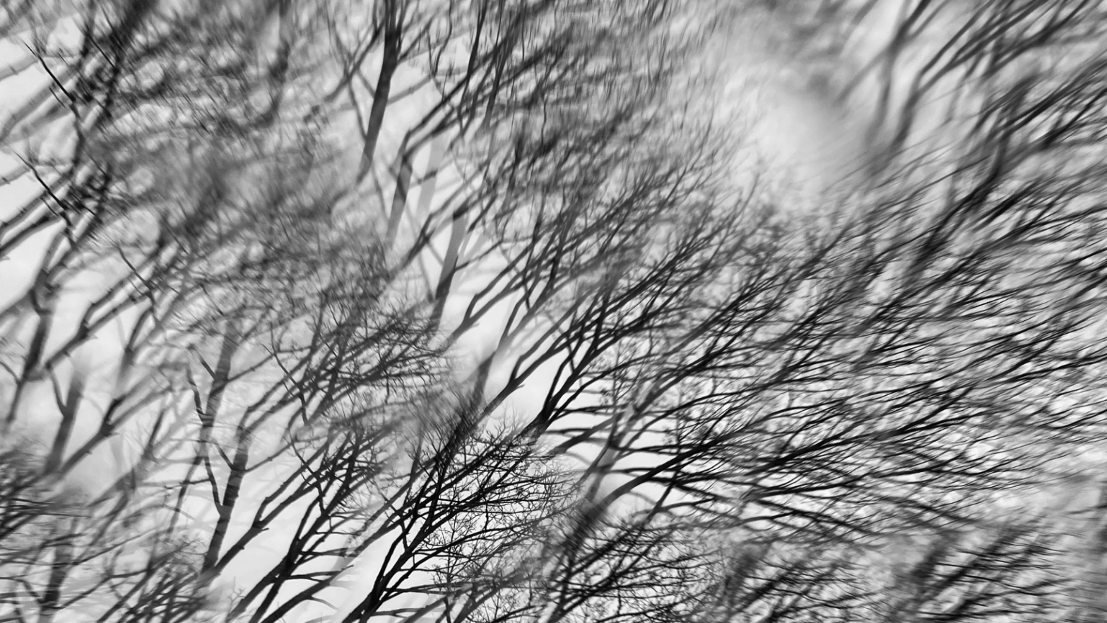 events – India Gailey